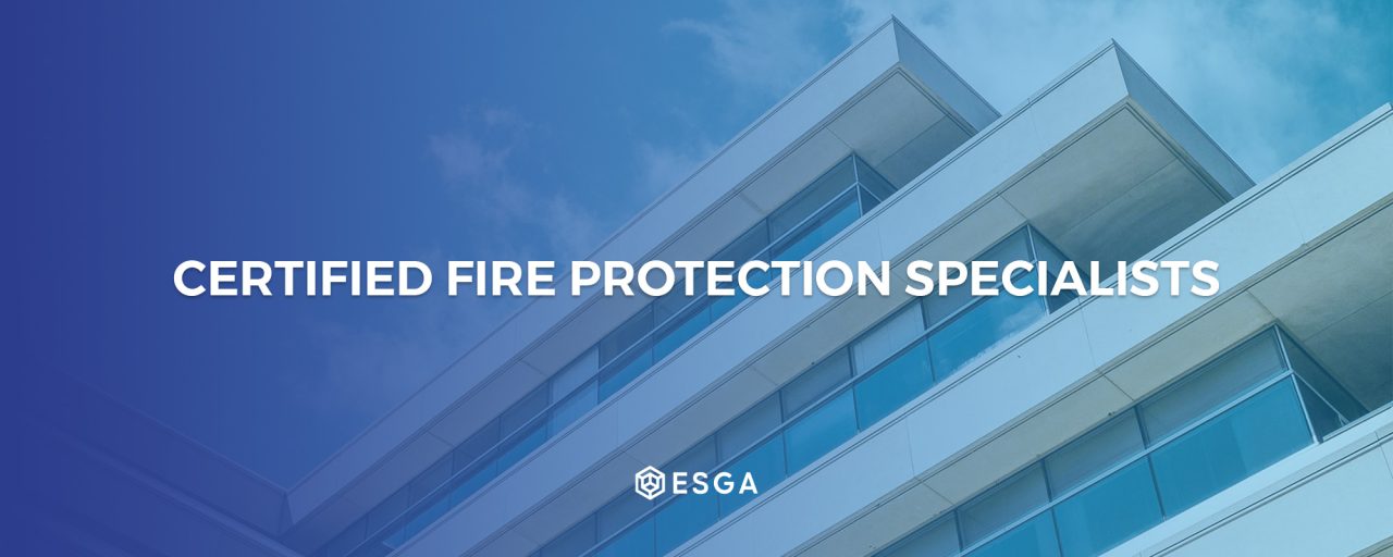 Essential Services Group Australia » psyborg® Newcastle & Lake Macquarie