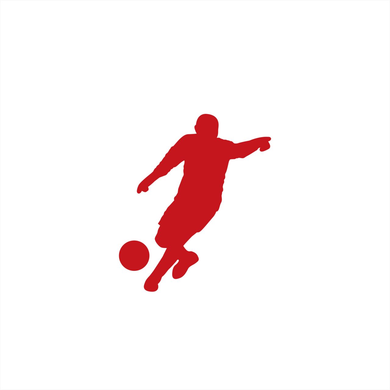 InZane Football » psyborg® Newcastle & Lake Macquarie