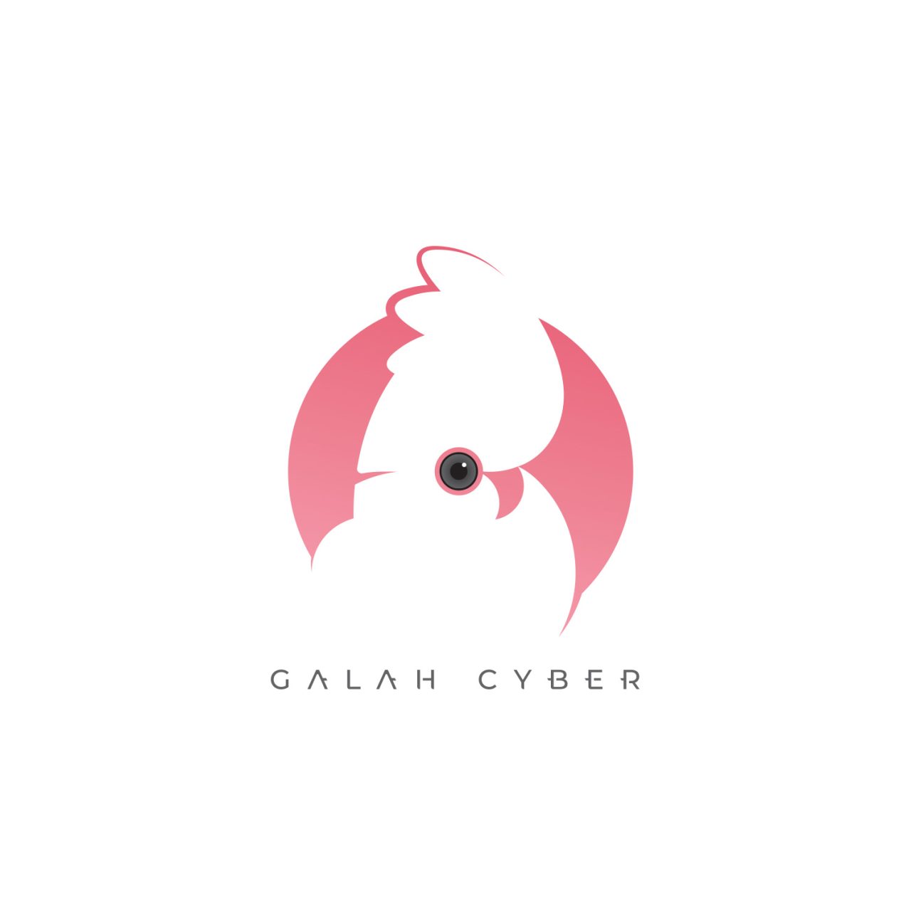 Galah Cyber » psyborg® Newcastle & Lake Macquarie